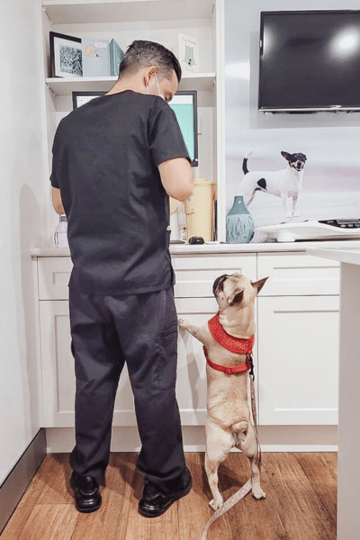 test home - The Vet Lounge