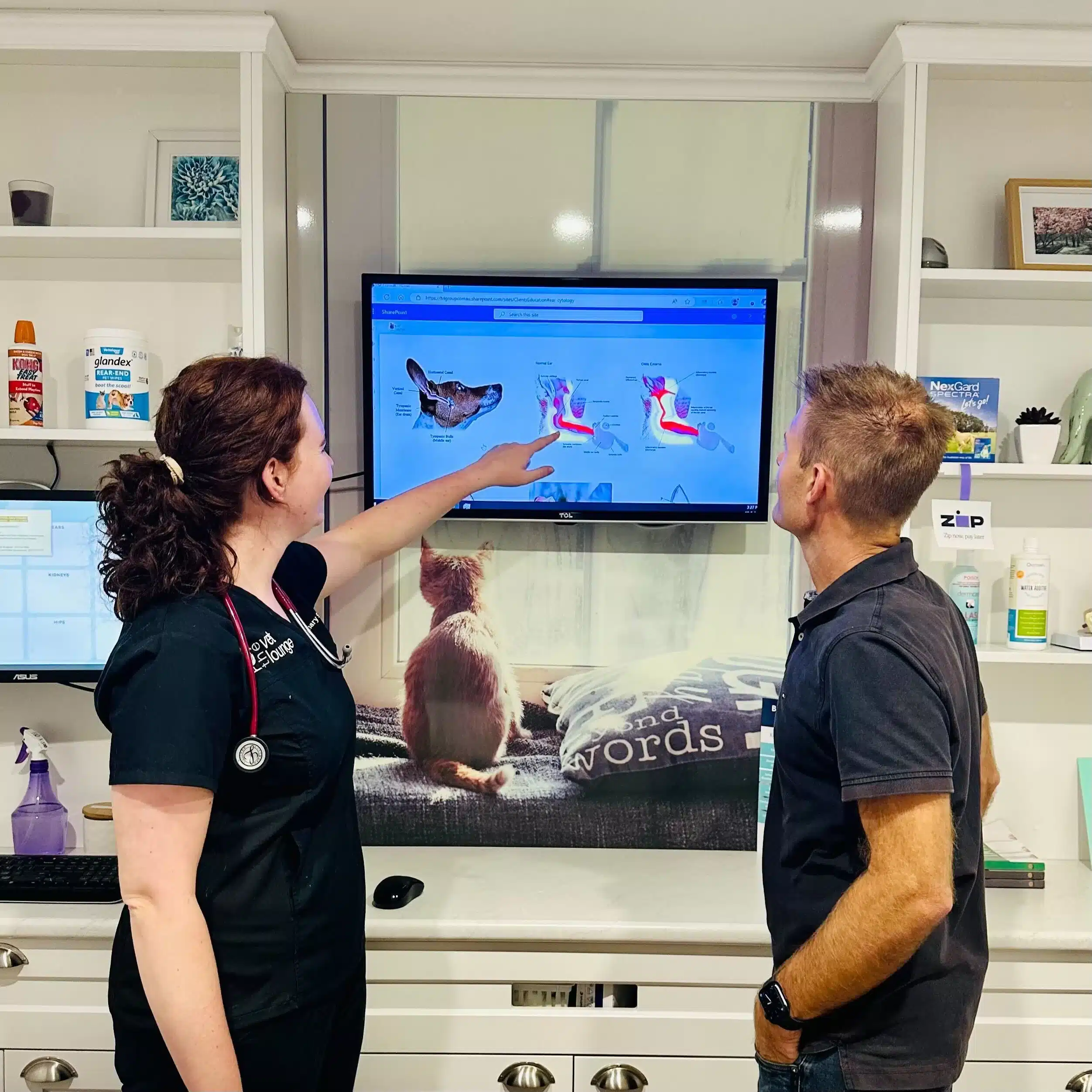 Vet Lounge: Quality Care For Your Furry Friends