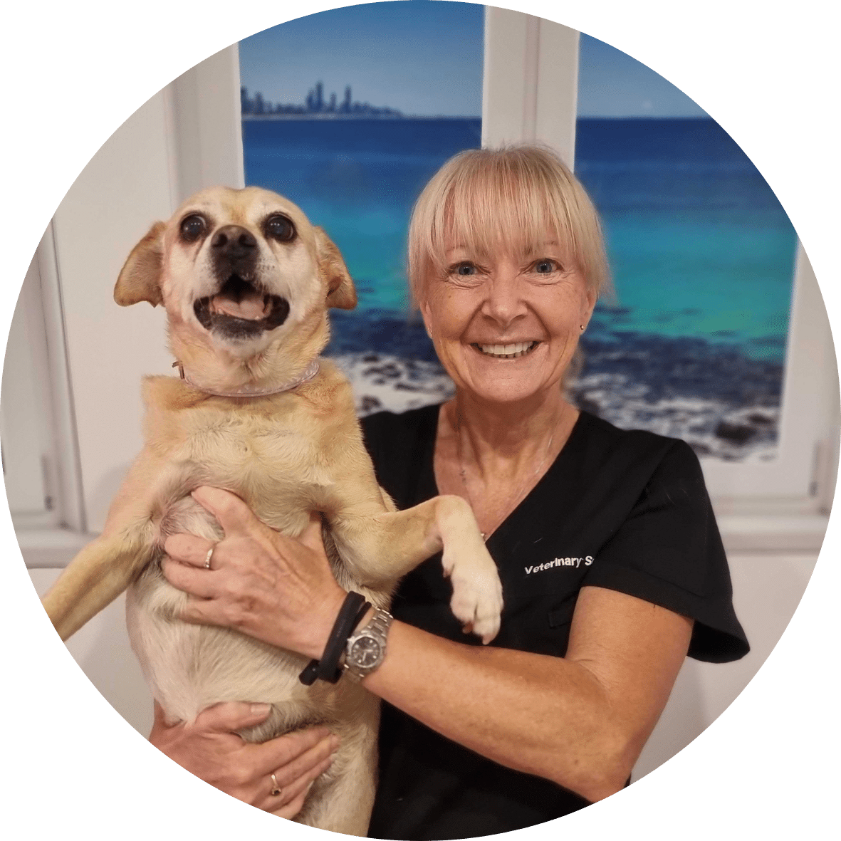 Coomera Vet Team