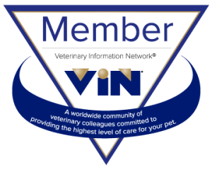 Vet Lounge: Quality Care For Your Furry Friends
