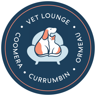 Faecal Microbiota Transplantation for Dogs - The Vet Lounge